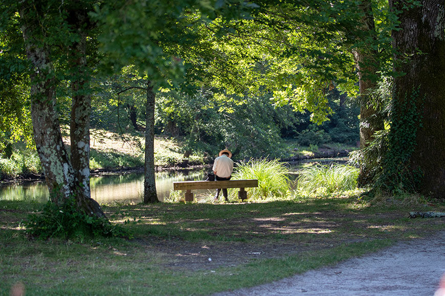 Mairie de Floirac - Distributions d'arbres - Mairie de Floirac