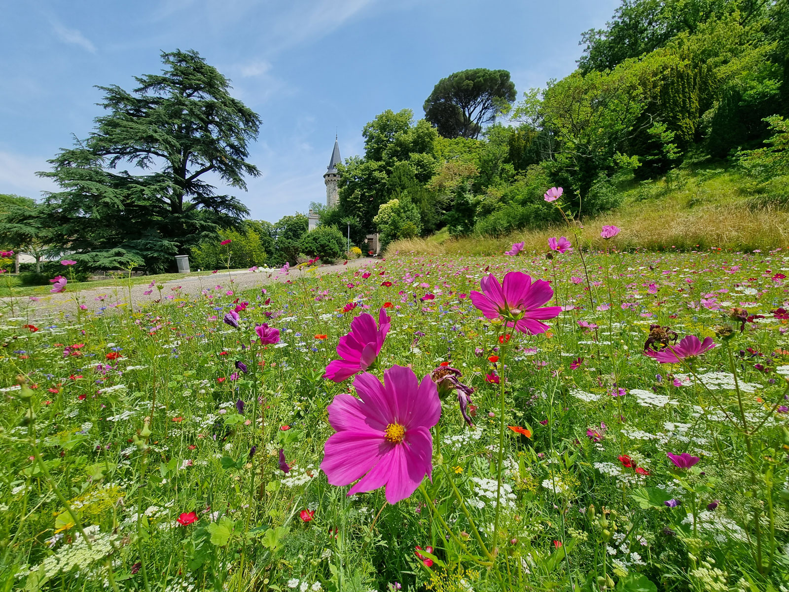Mairie de Floirac - Floirac, ville nature - Mairie de Floirac